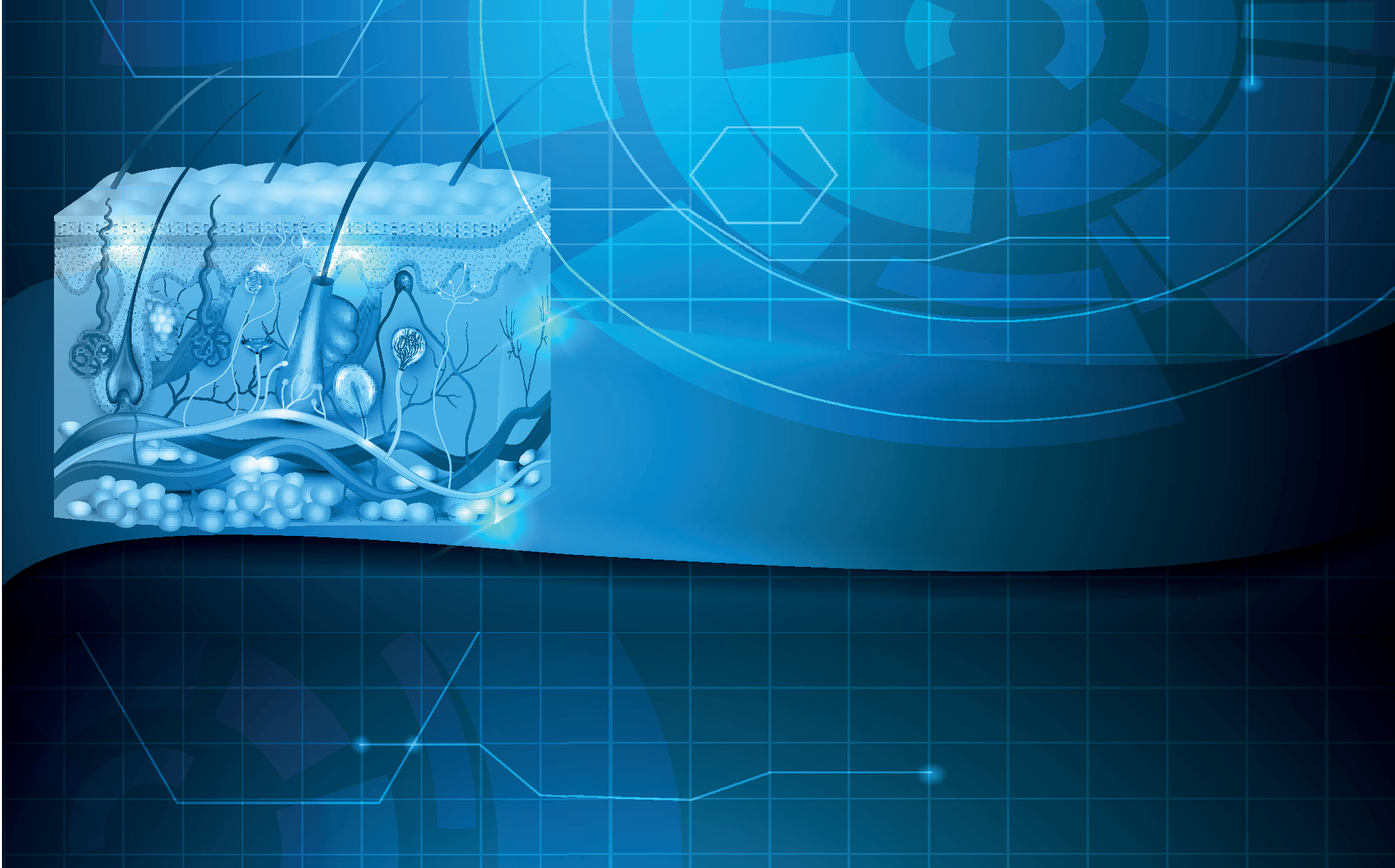 2 - www.us.StrataXRT.com